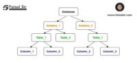 Understanding Databases, Tables, and Schemas – Data Analytics